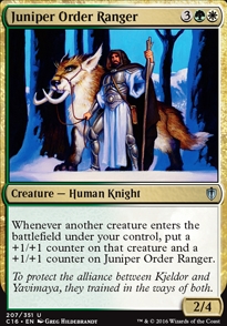 Juniper Order Ranger – Sad Robot